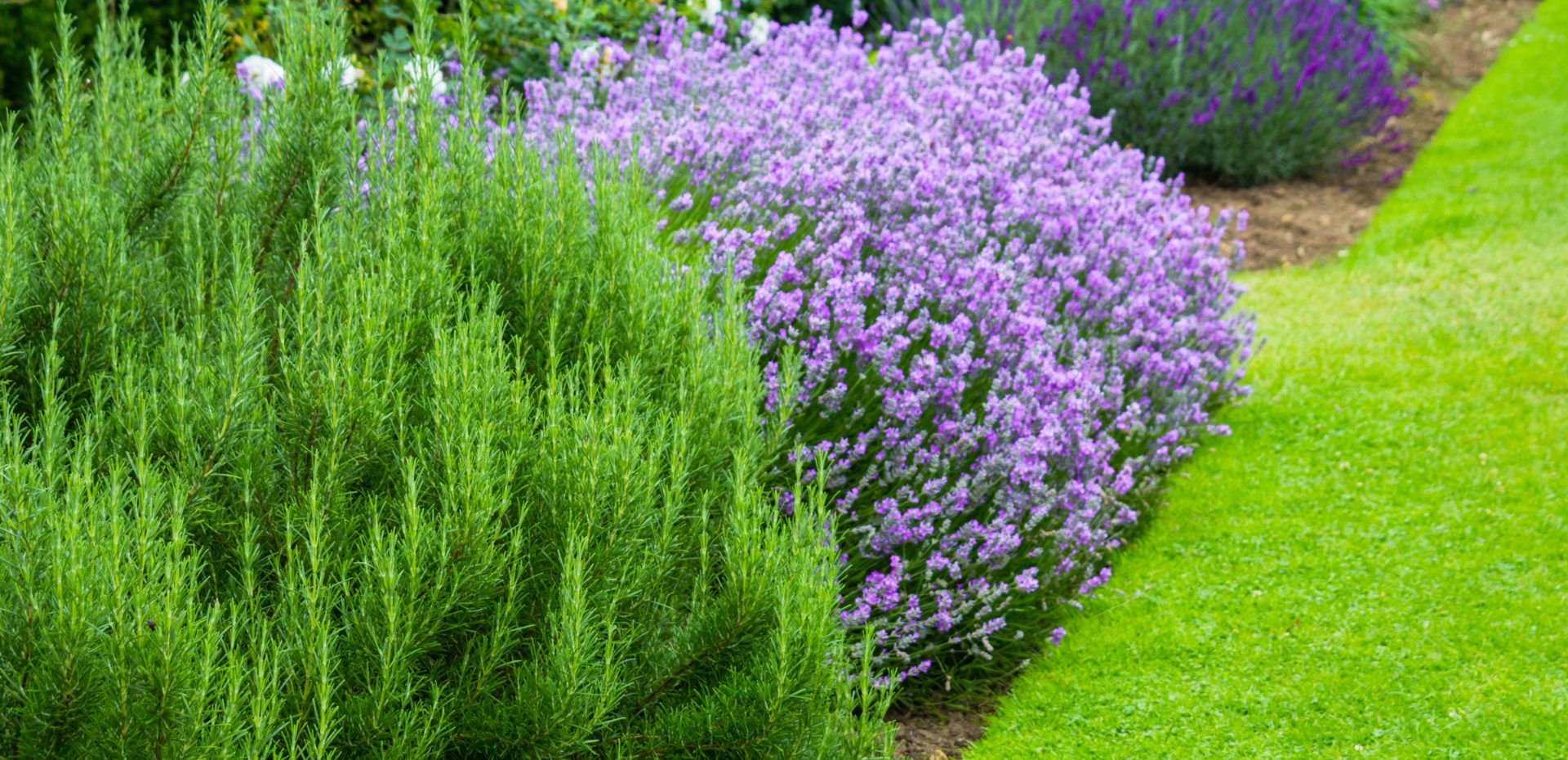 Landscaping Victoria BC